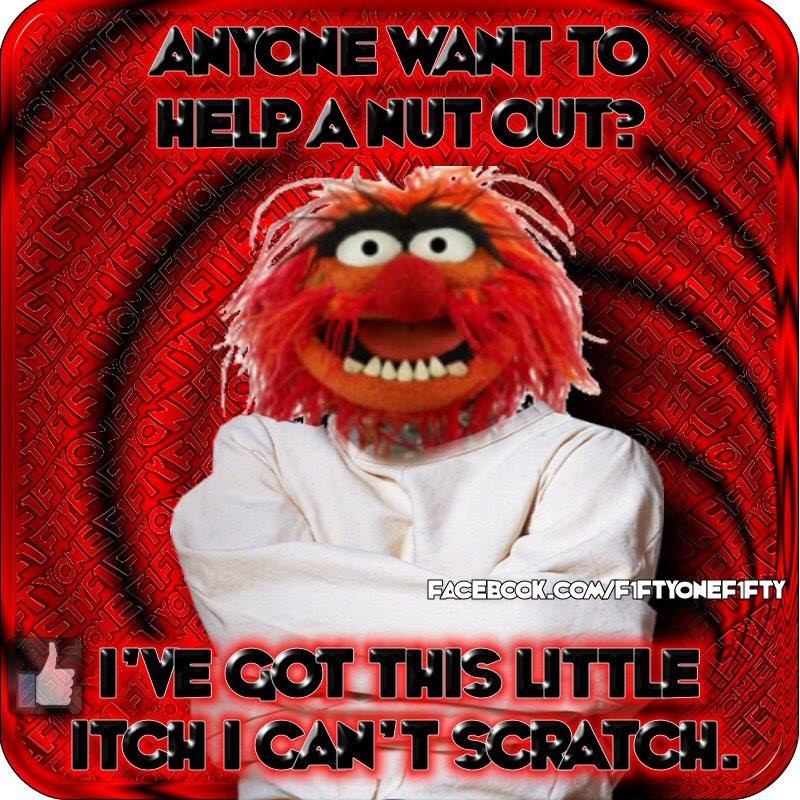 Animal Muppet Meme